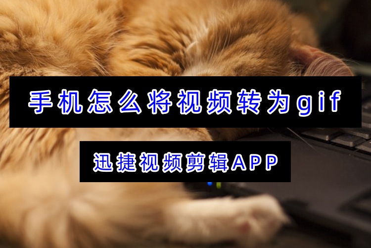 手机怎么将视频转为gif？4个小妙招快来体验